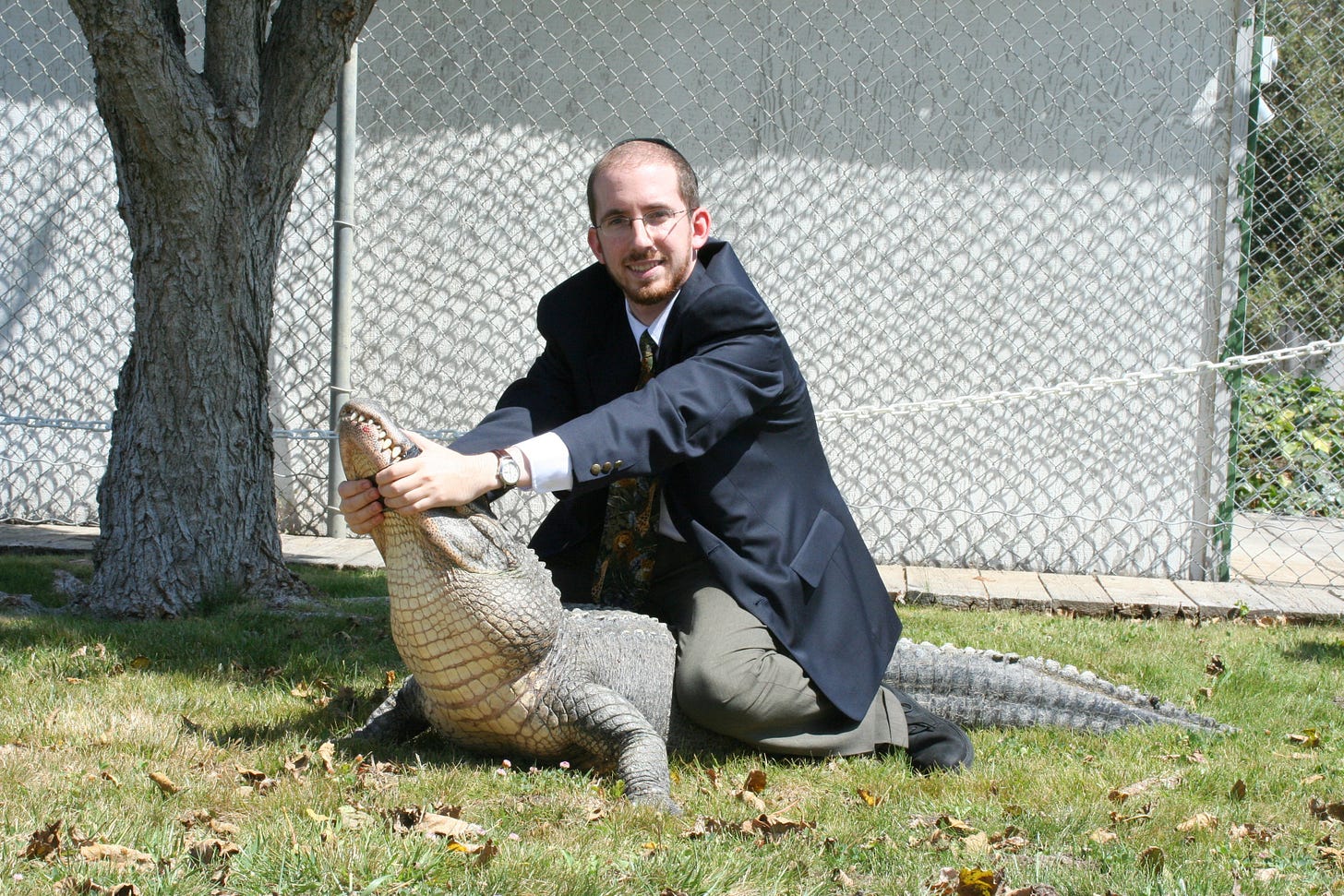 Crazy Crocodile Cretins - by Natan Slifkin