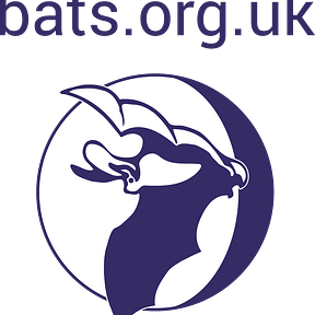 Bat Conservation Trust | Substack