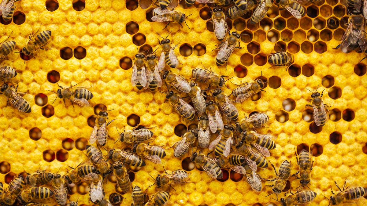 All The Small Things - And How They Make The Food System Possible