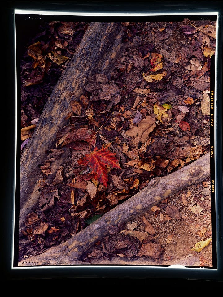 provia velvia difference