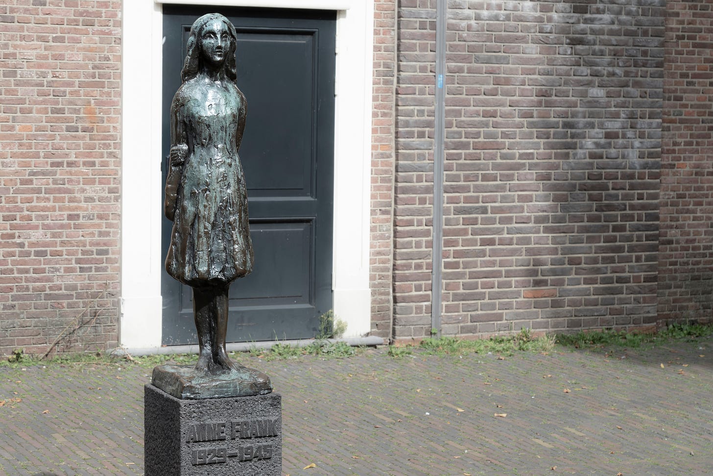 The Crisis, No. 4 - by Mike Brock - Notes From The Circus