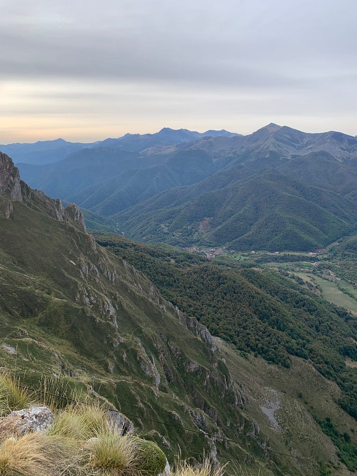 Looking back on 2025 at Emotions at Work