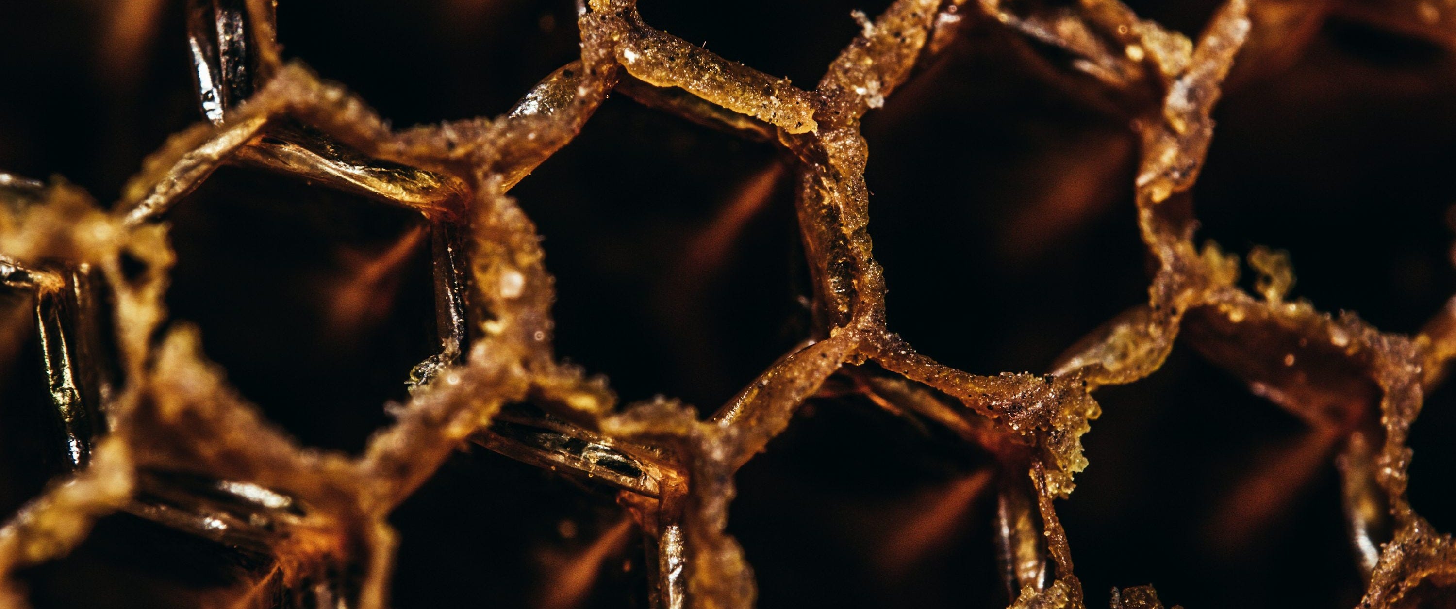DDC-80: Random honey combs - Mike X Cohen