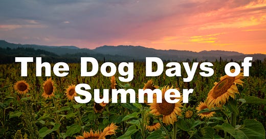 The Anglican | David Roseberry | Substack