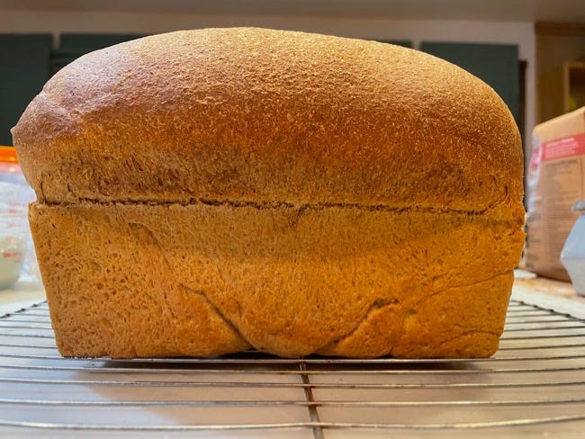 New Method! 100 Percent Whole Wheat Food Processor Bread