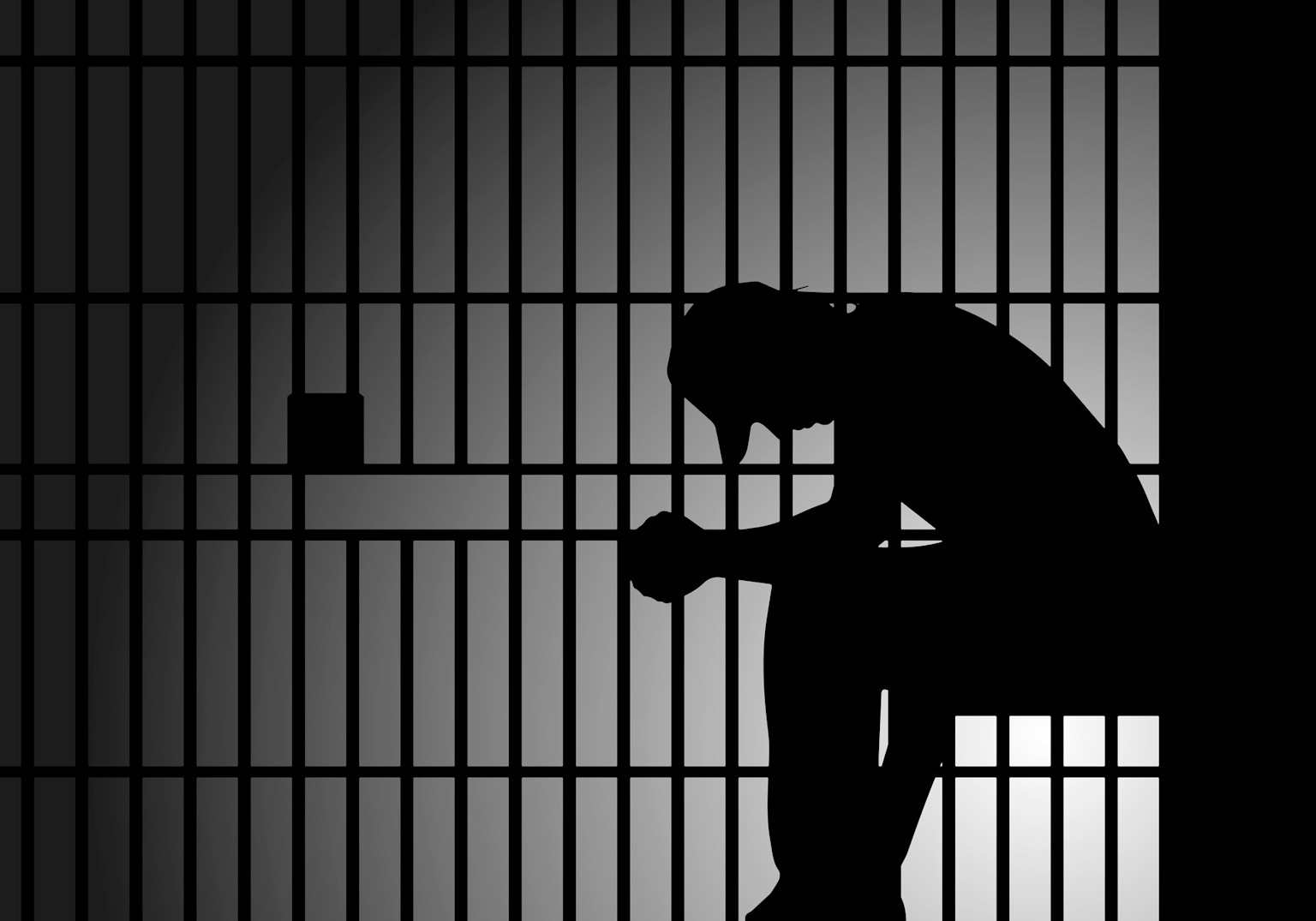 “The Prison Industrial Complex is Exploding While Our People Suffer ...