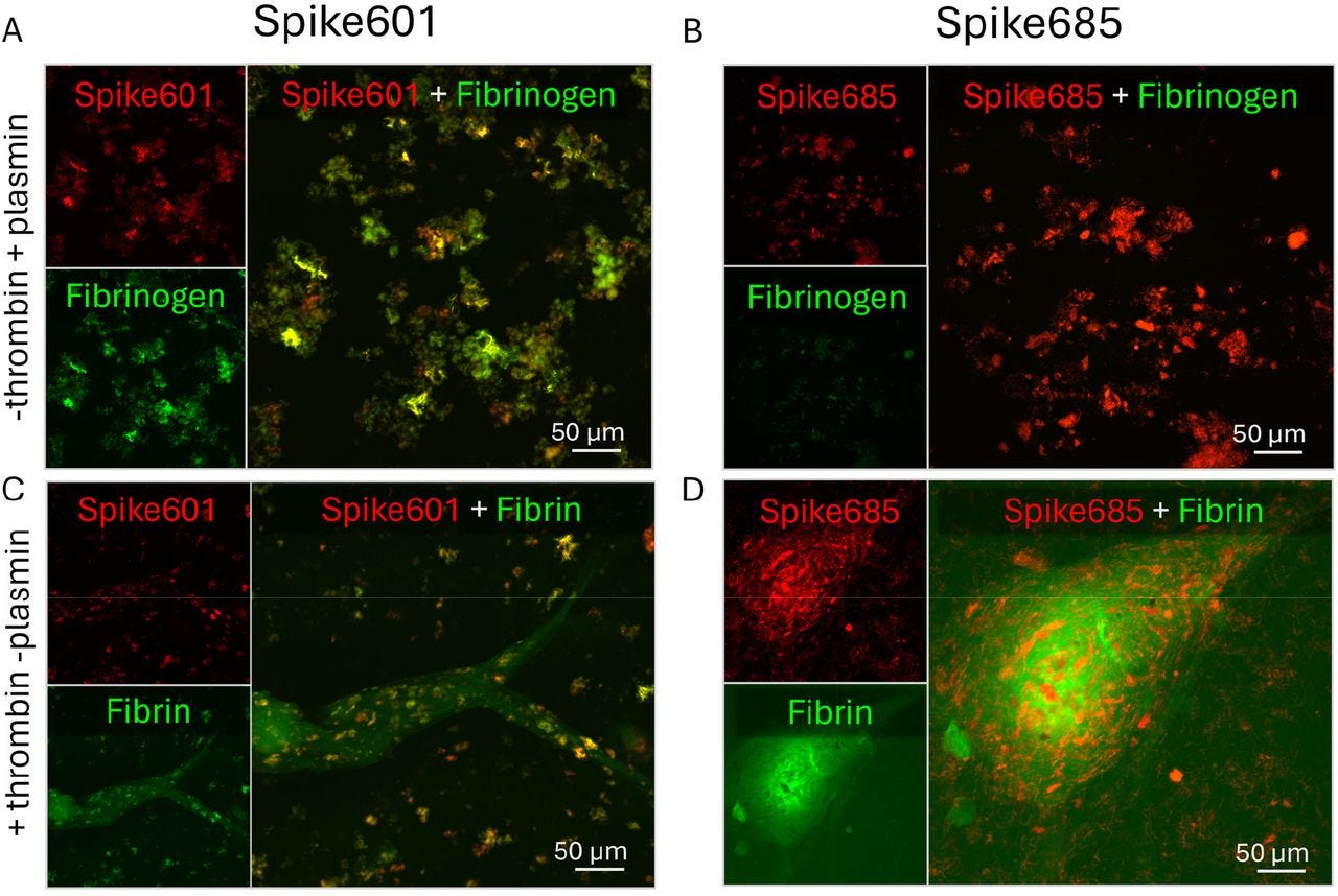 A Curious Matter of Timing: How Annual COVID mRNA May Enable Constant ...