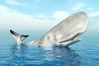 Inconspicuous Consumption | Paul Lukas | Substack