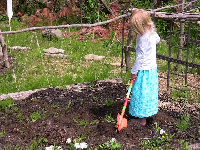 5 Ways To Build Soil Health This Year