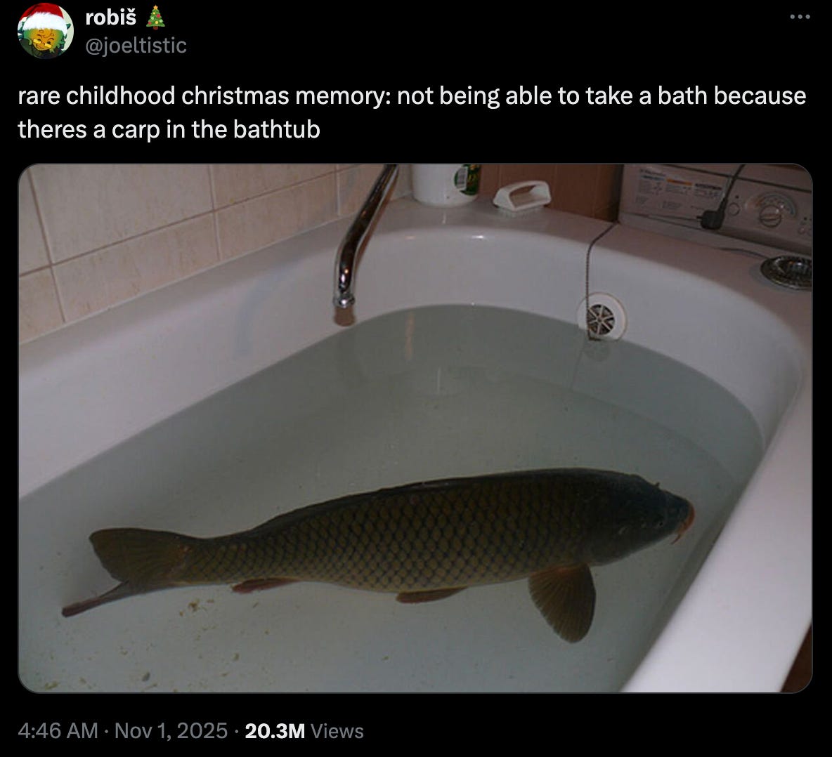 club cinnamon's december newsletter - by sophie cat blake