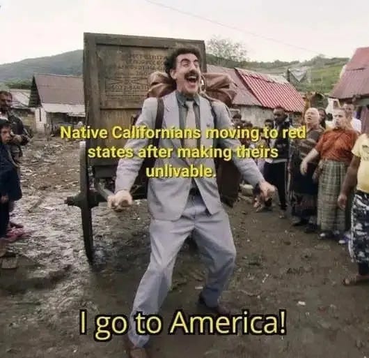 Ann Barnhardt Memes - Edwin’s Newsletter #1