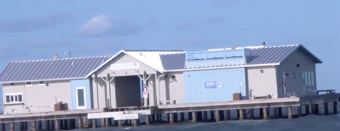 Reconstruction Begins on Anna Maria Island Pier, Businesses Eager for ...