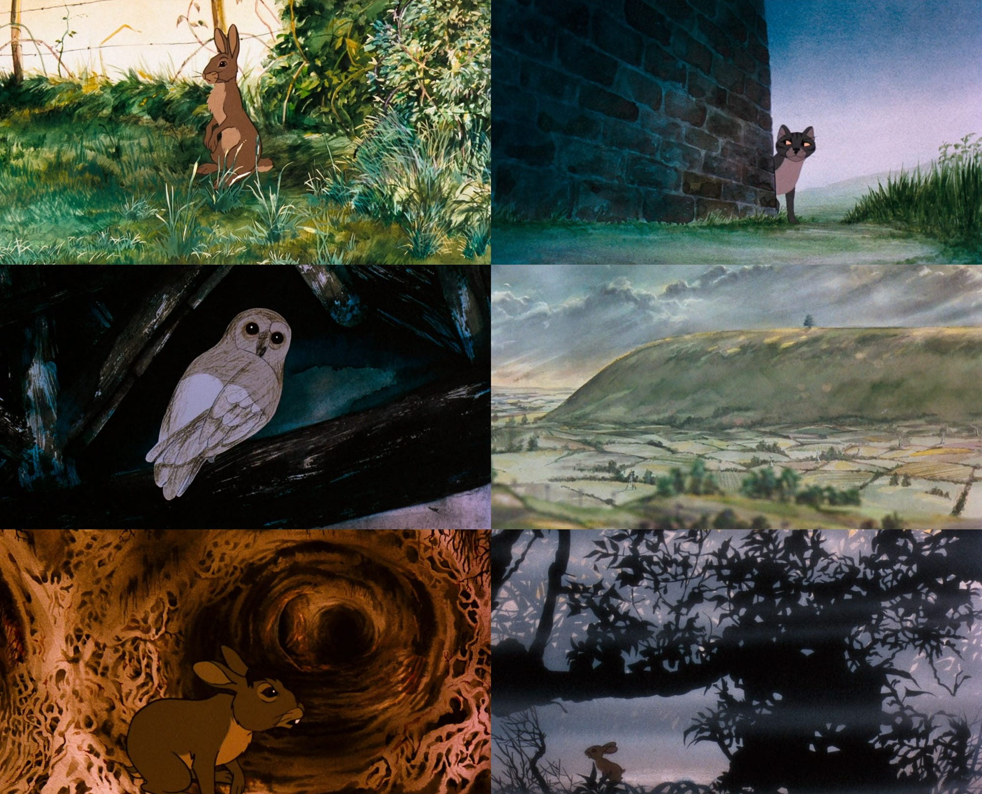 Watership Down Movie 60 Photos - Moonagedaydream.film