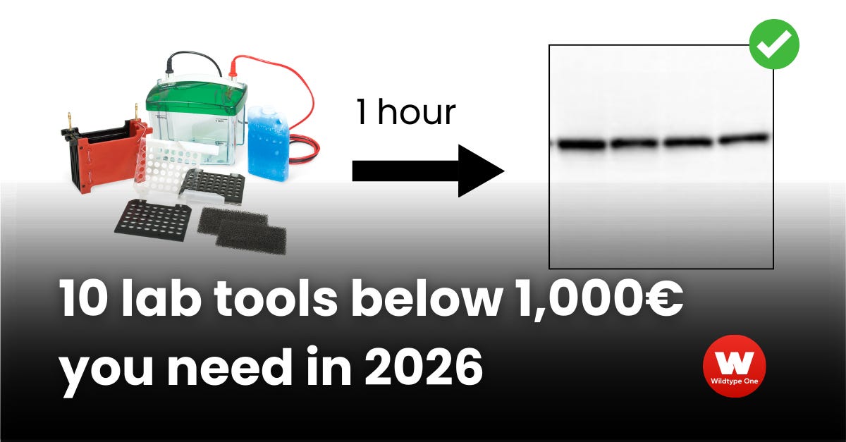 Cheap tools that solve annoying lab problems - by Carl