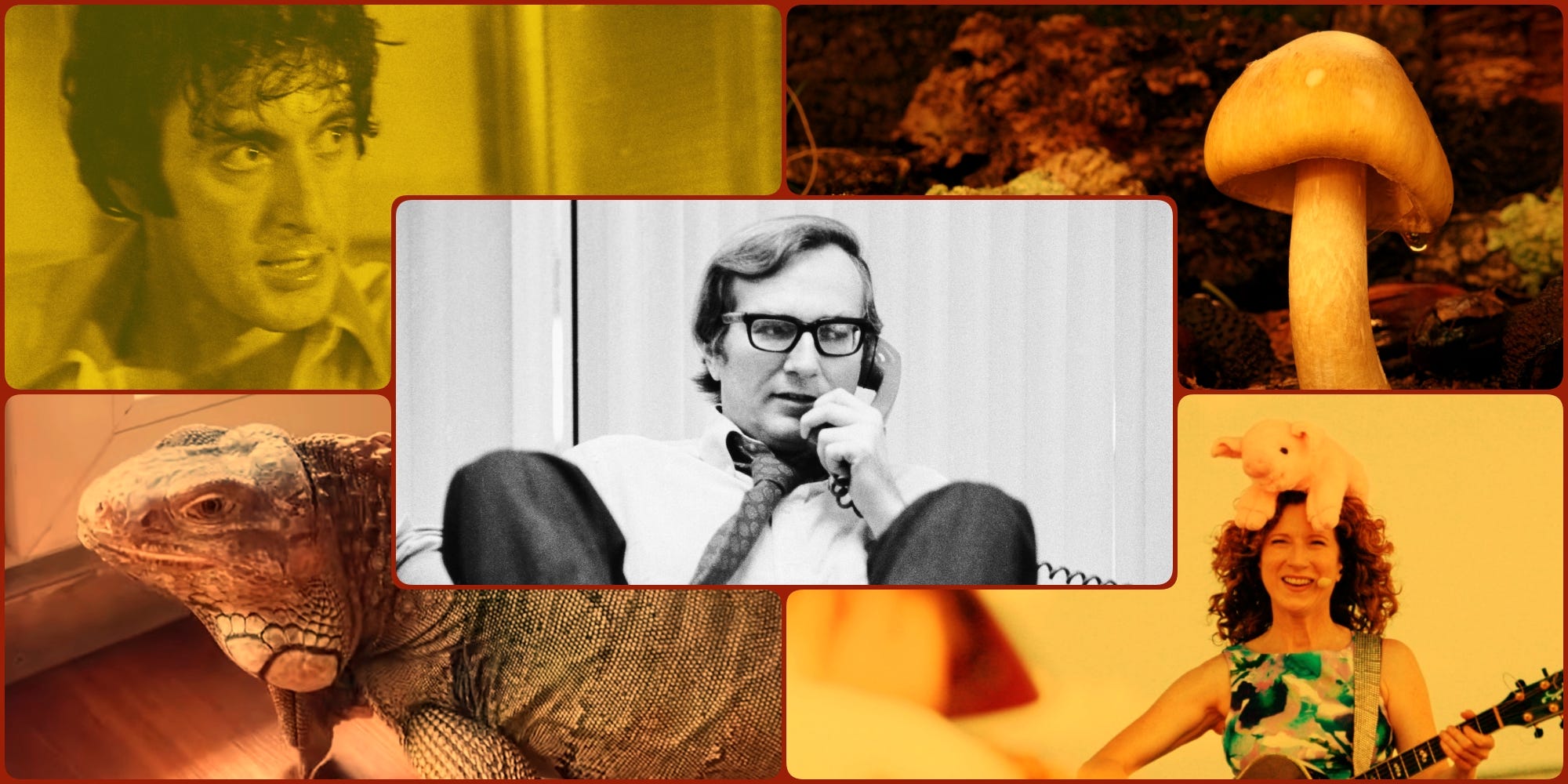 This Week In Documentary - Cover-Up & Breakdown 1975