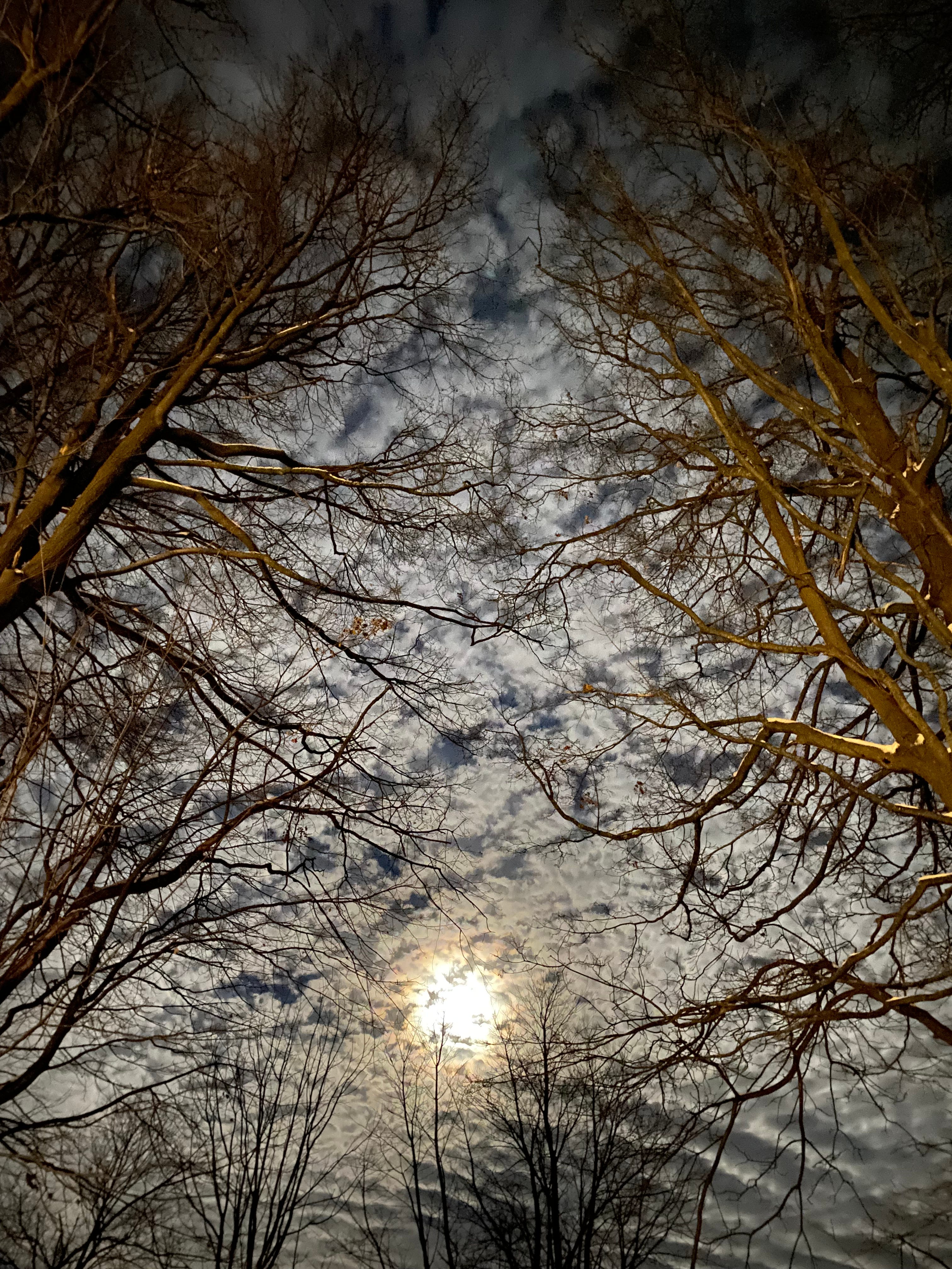 Skyward - by Justin Deming - Along the Hudson