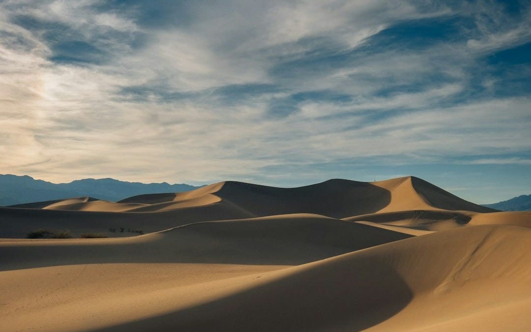 The Strange Saints of A. Muia’s Desert Between Two Seas