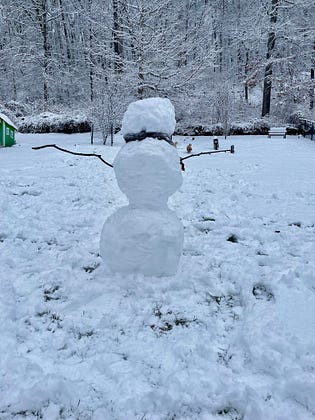 charlie lees substack