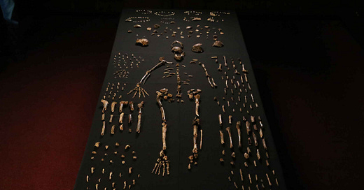 John Hawks | Substack