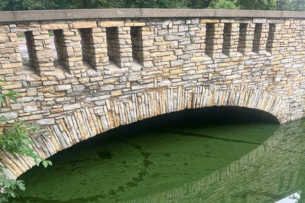 Juliebeans | Julie Beans | Substack