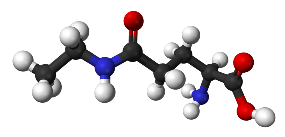 L-Theanine and ADHD: Examining the Evidence Behind This Calming Amino Acid
