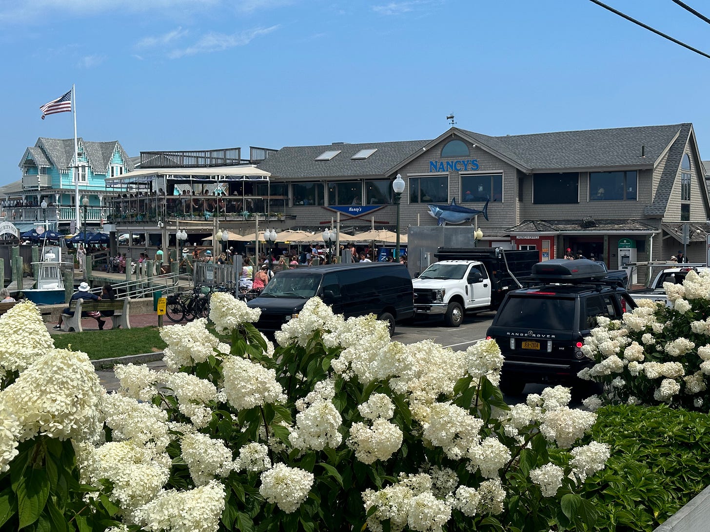 difference between cape cod and martha's vineyard