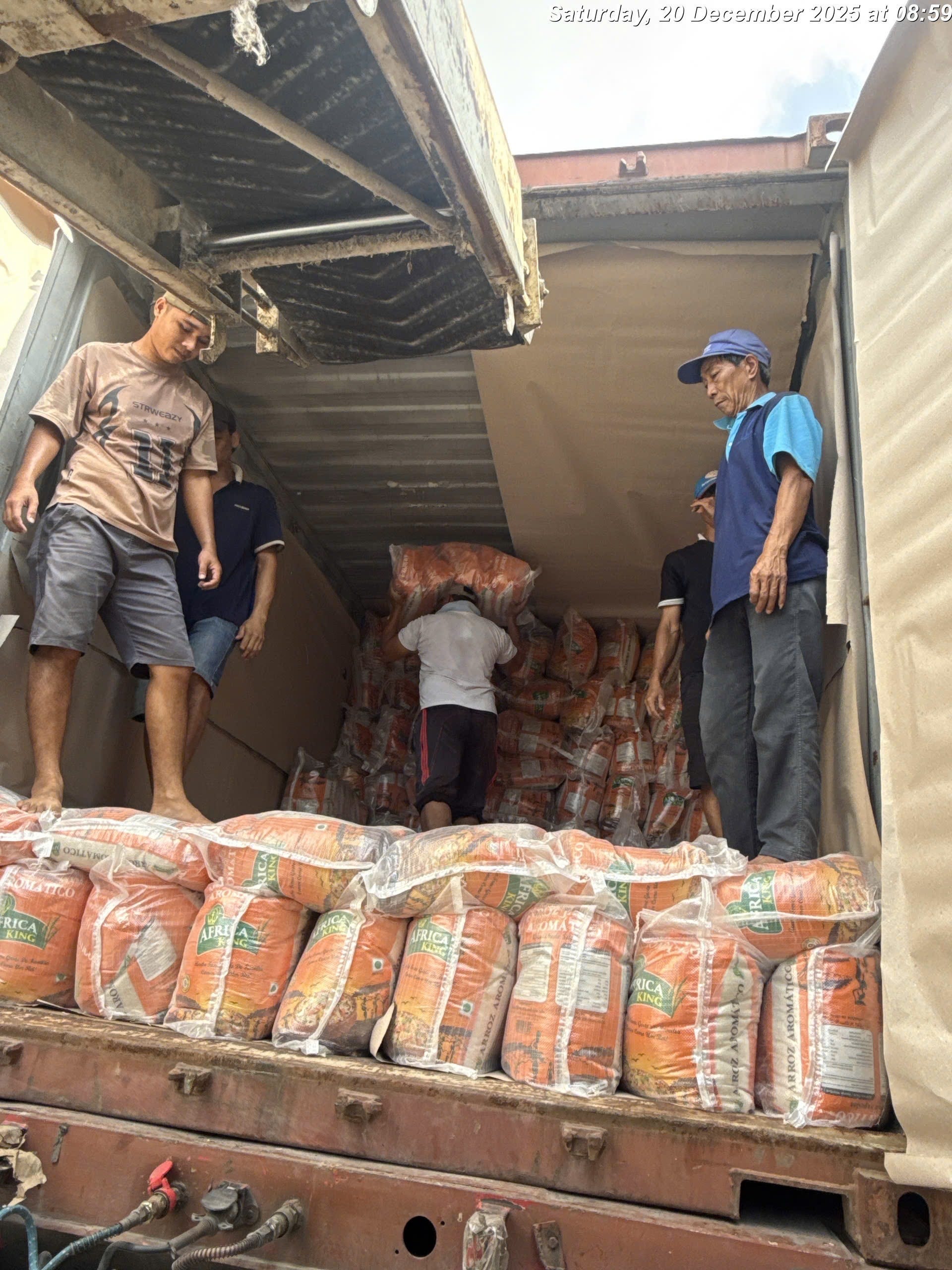 Code Bản Thể. Peace Scholar (@codebanthe): "Survival state ...