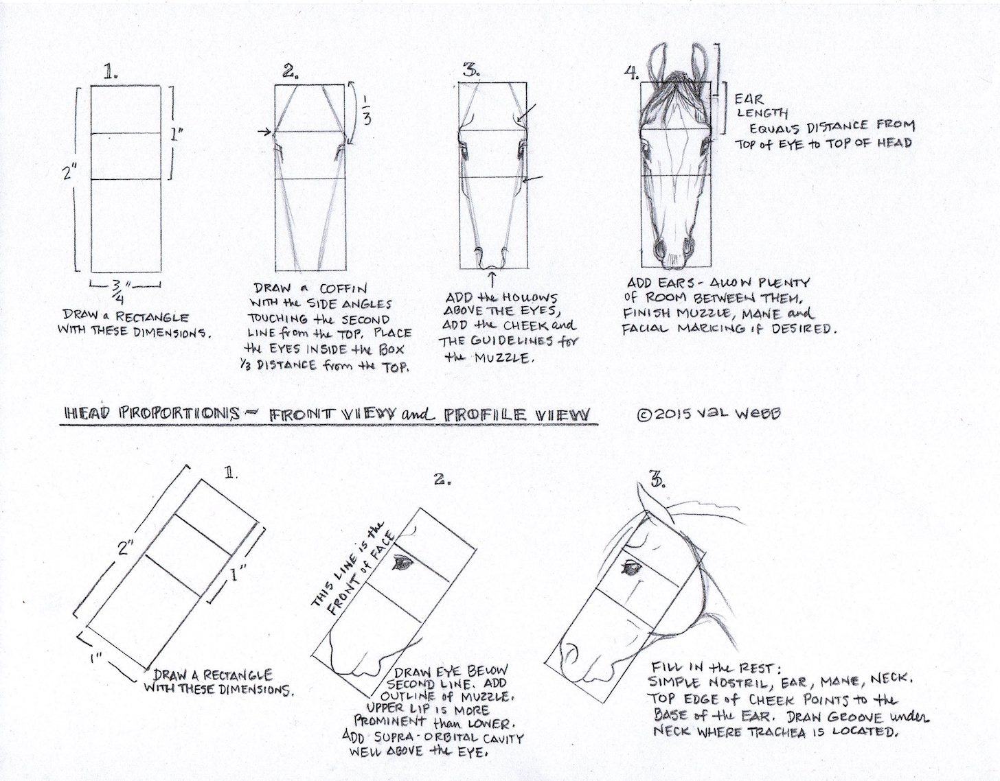 Draw Horses and Ponies - by Val Webb - 32 Art Courses