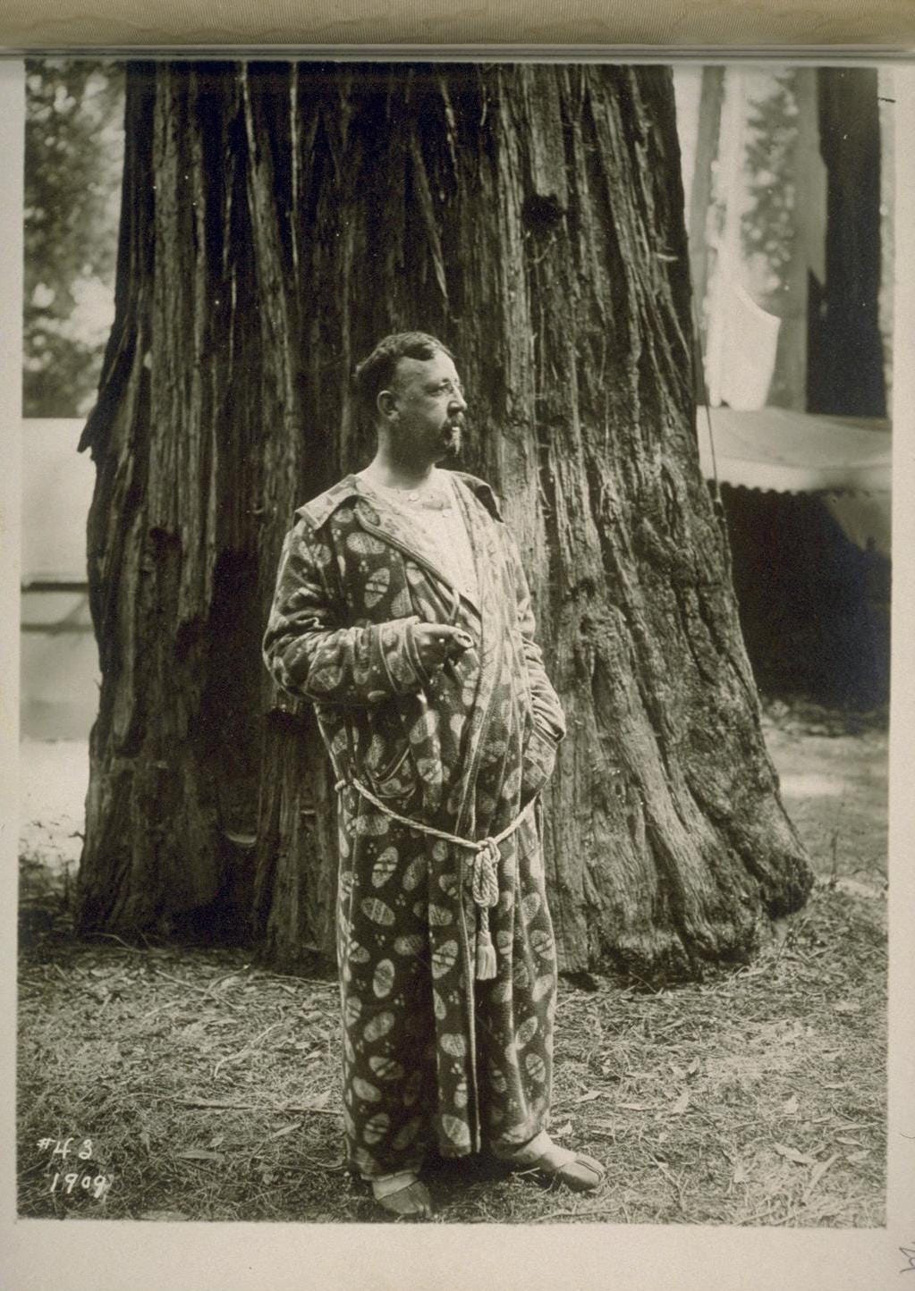 Bohemian Grove: Where Powerful People Gather Each Summer