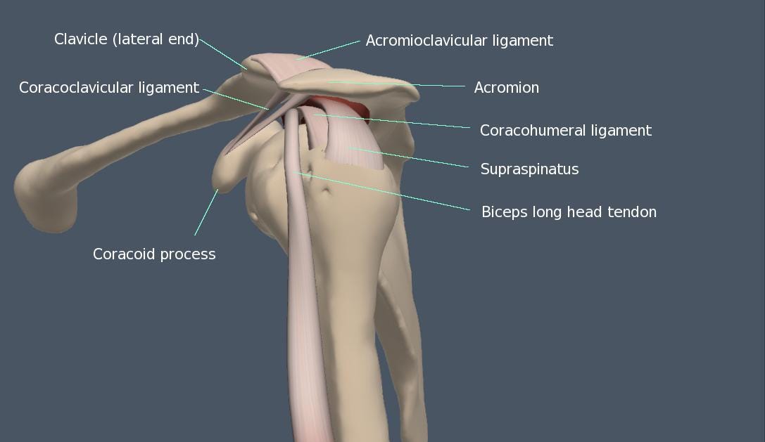 Shoulder Impingement Syndrome: Real, or Yet Another Myth?