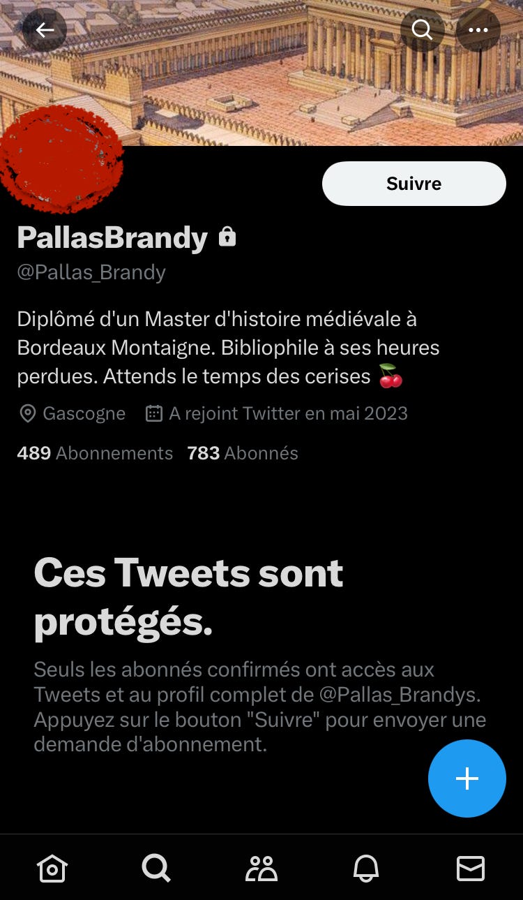 PallasBrandy : Le crash d’un diplômé face au mur du réel