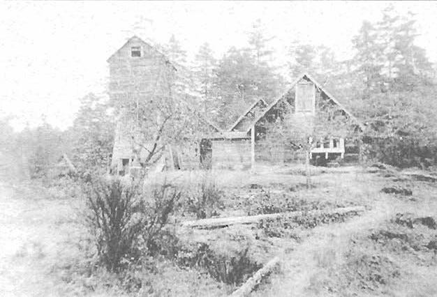 Hidden History of Corry Road, Highlands - by Sue Harper