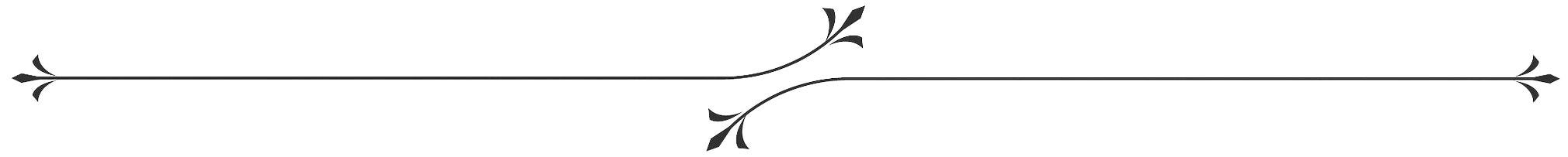 MAGA’s Blueprint for Domestic Division