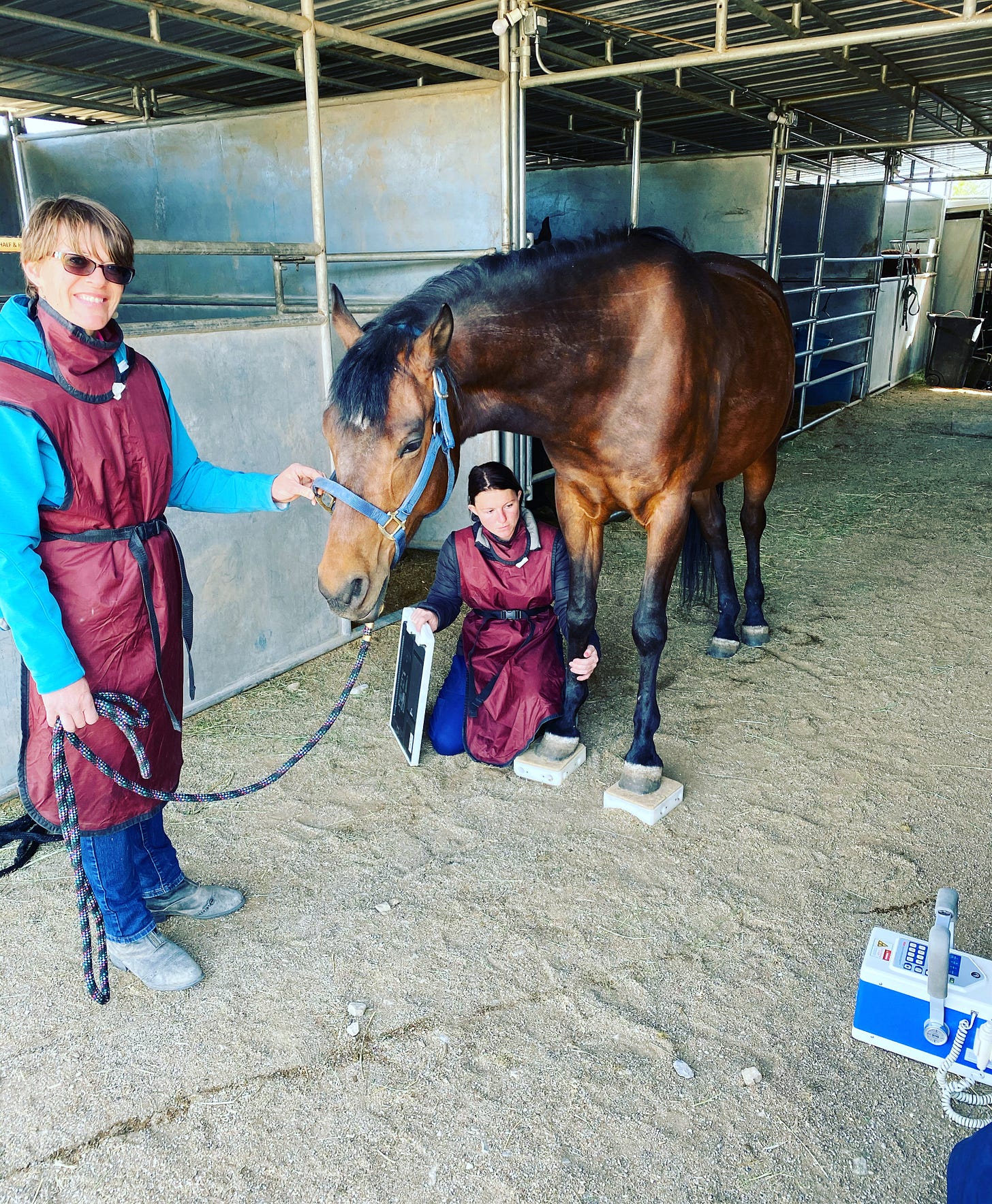 Nicole Knows | Nicole Cliffe | Substack