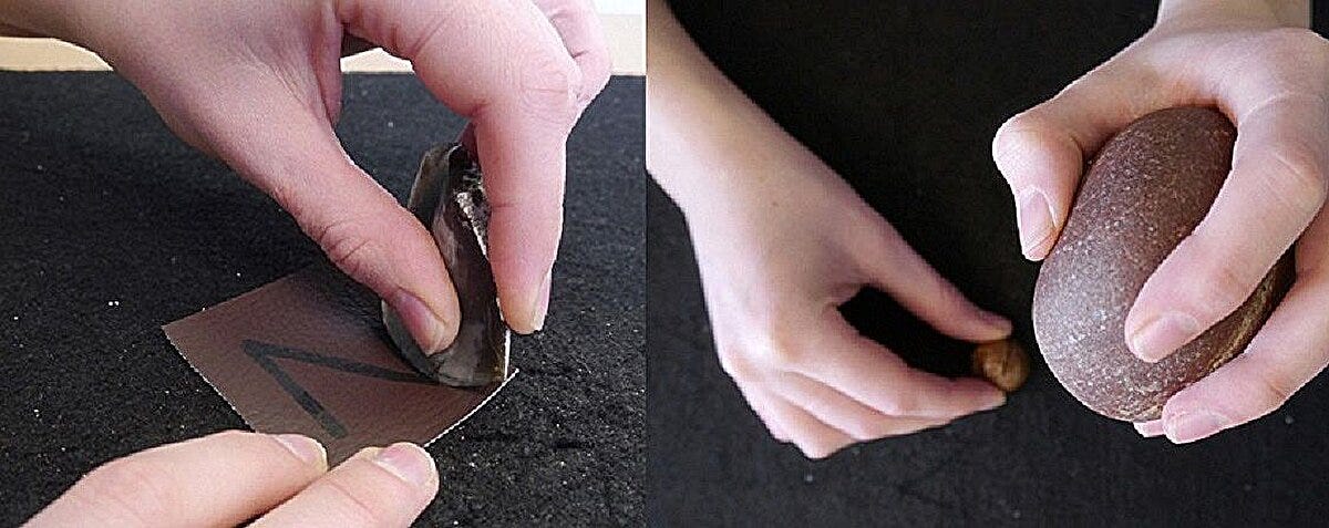 Tool Use and Brain Evolution: How Cognitive Advances Shaped Human ...