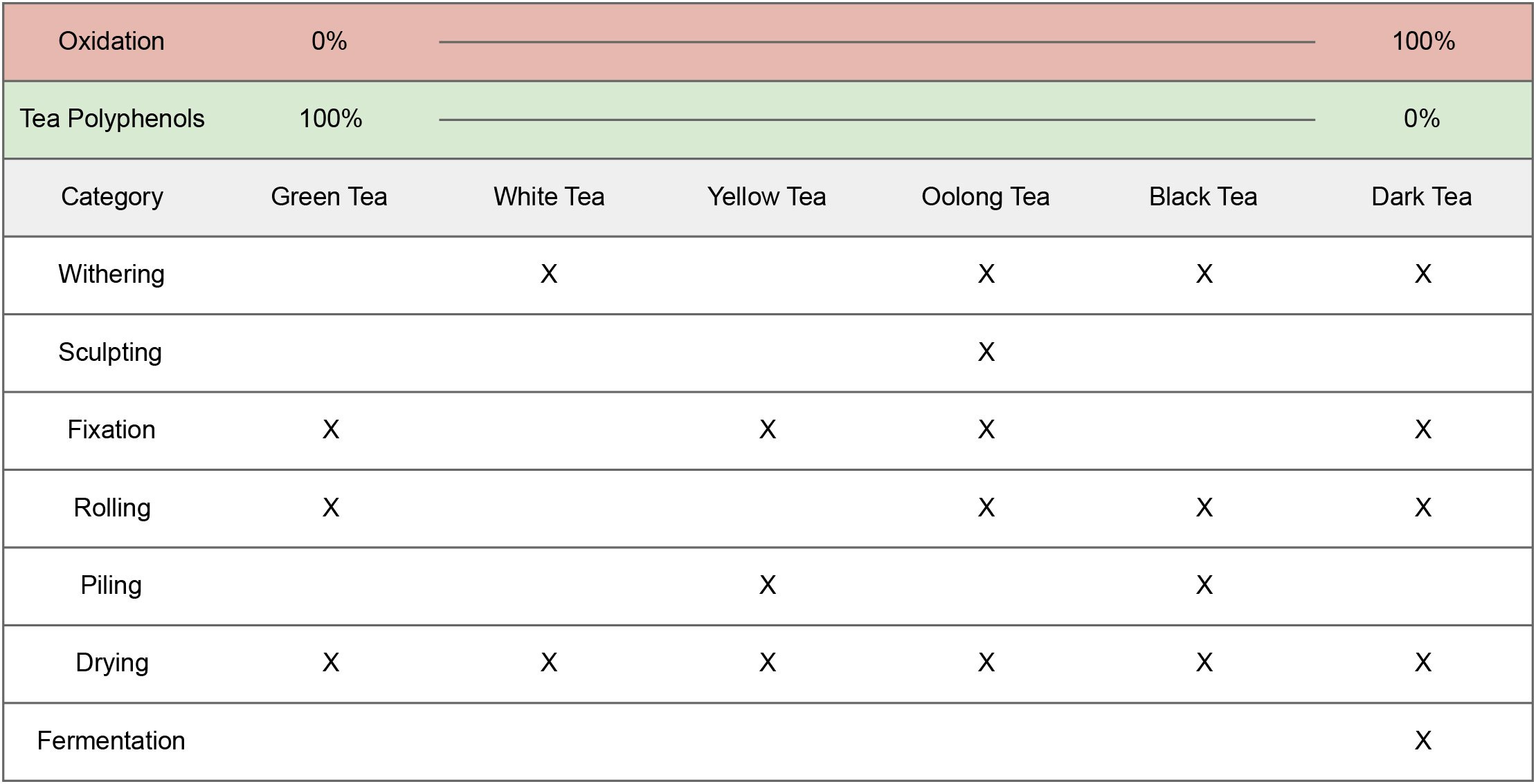 Tea 101: The Six Categories and the Role of Oxidation