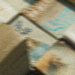 Read Your Color | Steven Reese | Substack