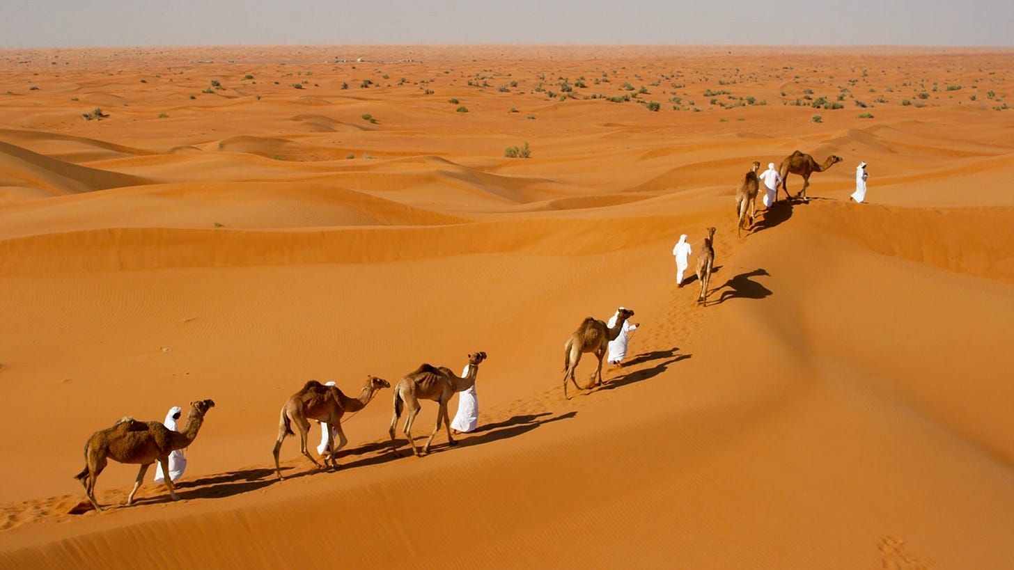 From Arab Tribes to Muslim States (an explainer)