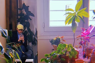 The Fox Is Black | Bobby Aaron Solomon | Substack