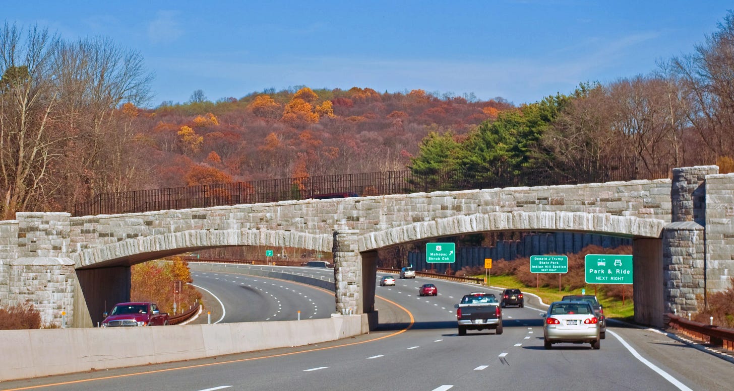 The Effects of USA Freeways American Cities and Neighborhoods