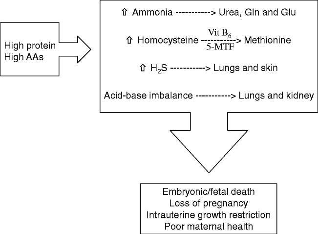 Stress, formaldehyde, smoking, and pain hypersensitivity in teeth or ...