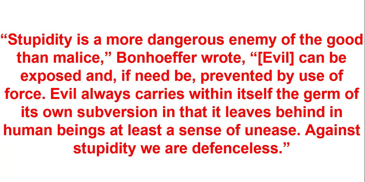 THE DANGERS POSED TO EVERYONE FROM STUPIDITY AS PEOPLE CONTINUE TO ...