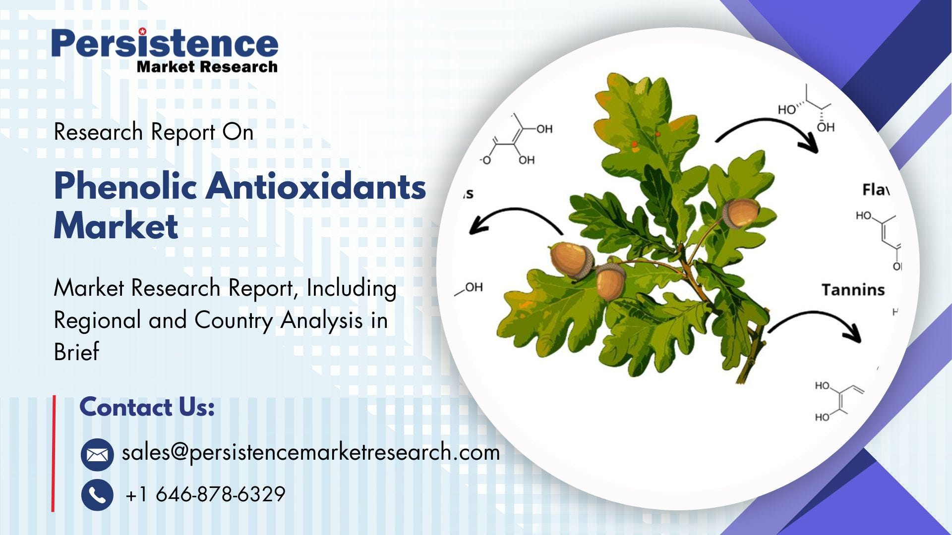 Phenolic Antioxidants Market Innovation Focuses on High-Performance ...