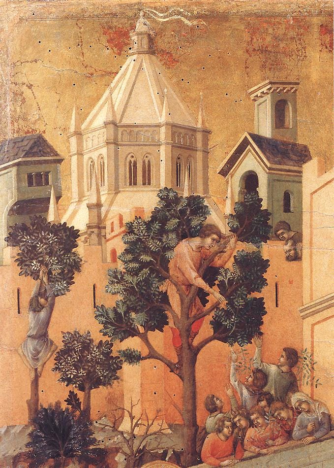 Zacchaeus - by Kate Bluett - Turn Me Back Again