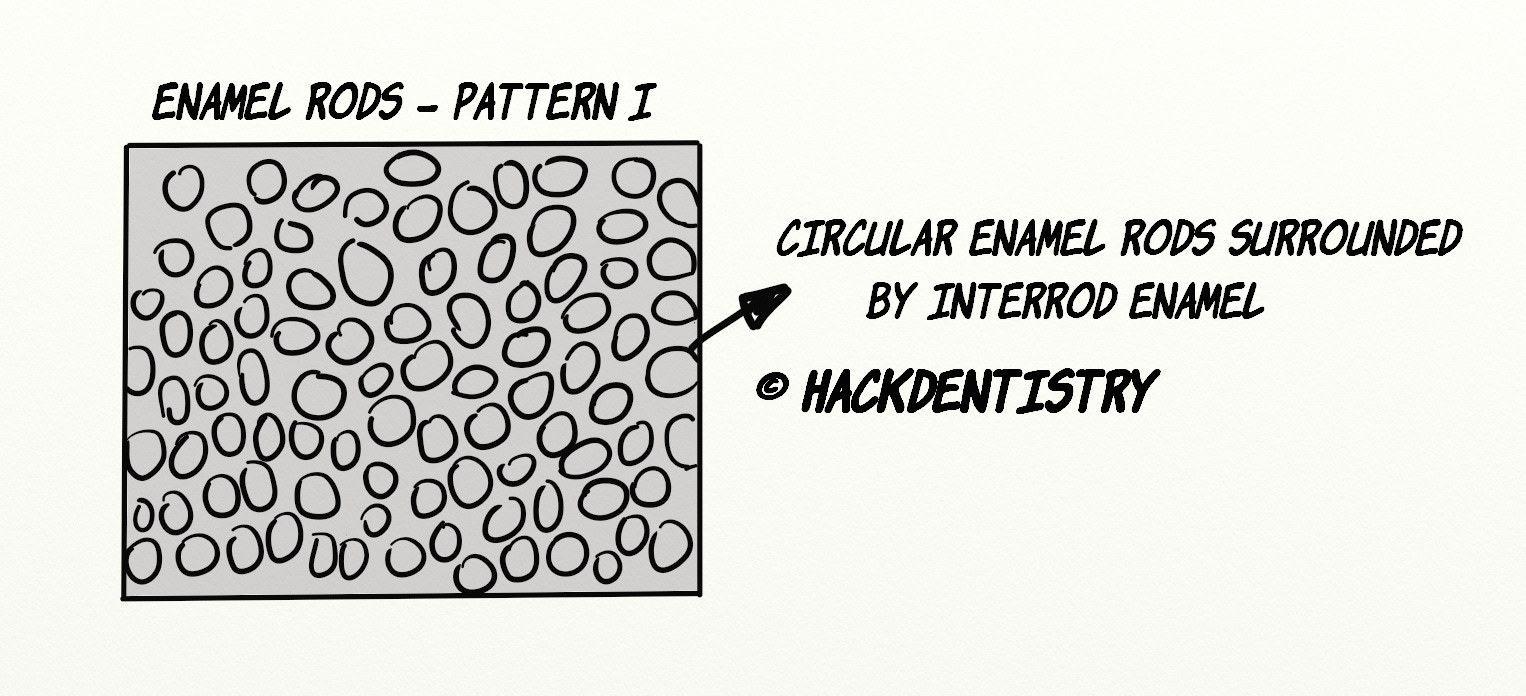Structural features of enamel (Note) - HackDentistry