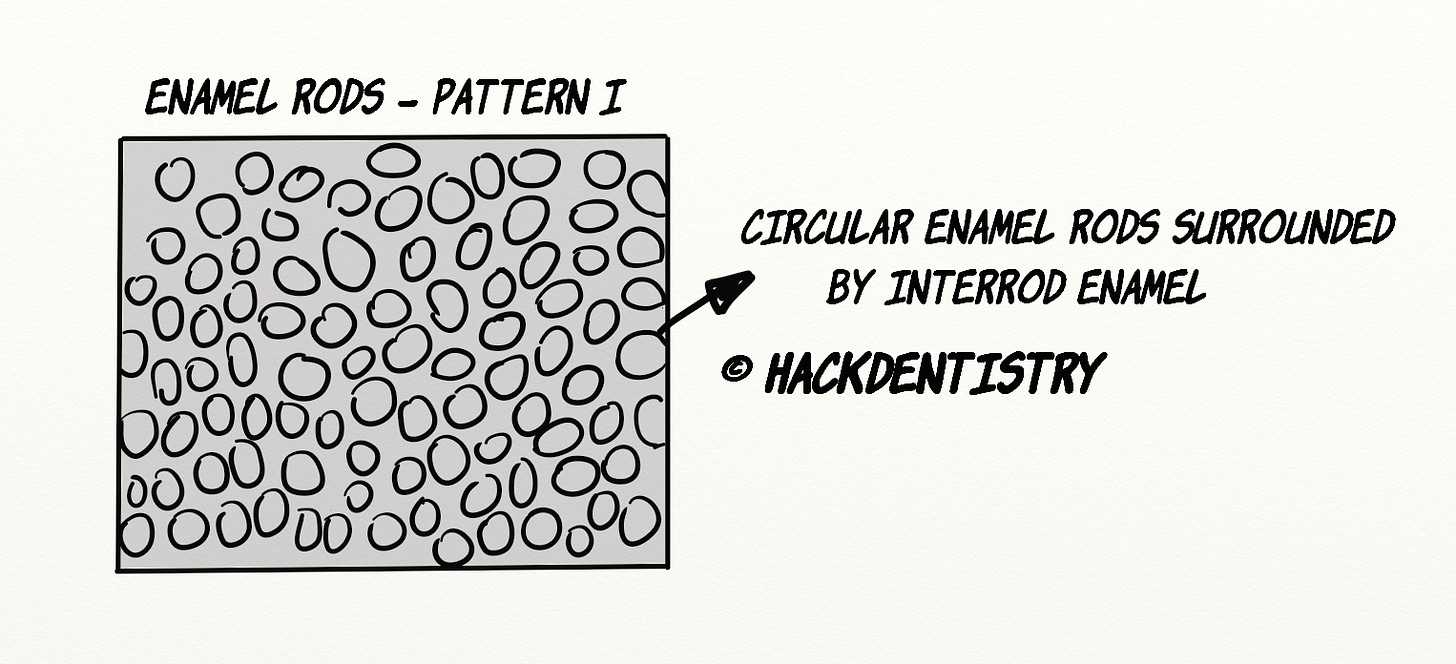 Structural features of enamel (Note) - HackDentistry