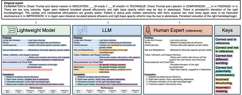5' Research Brief - Structuring Radiology Reports: Challenging LLMs with Lightweight Models