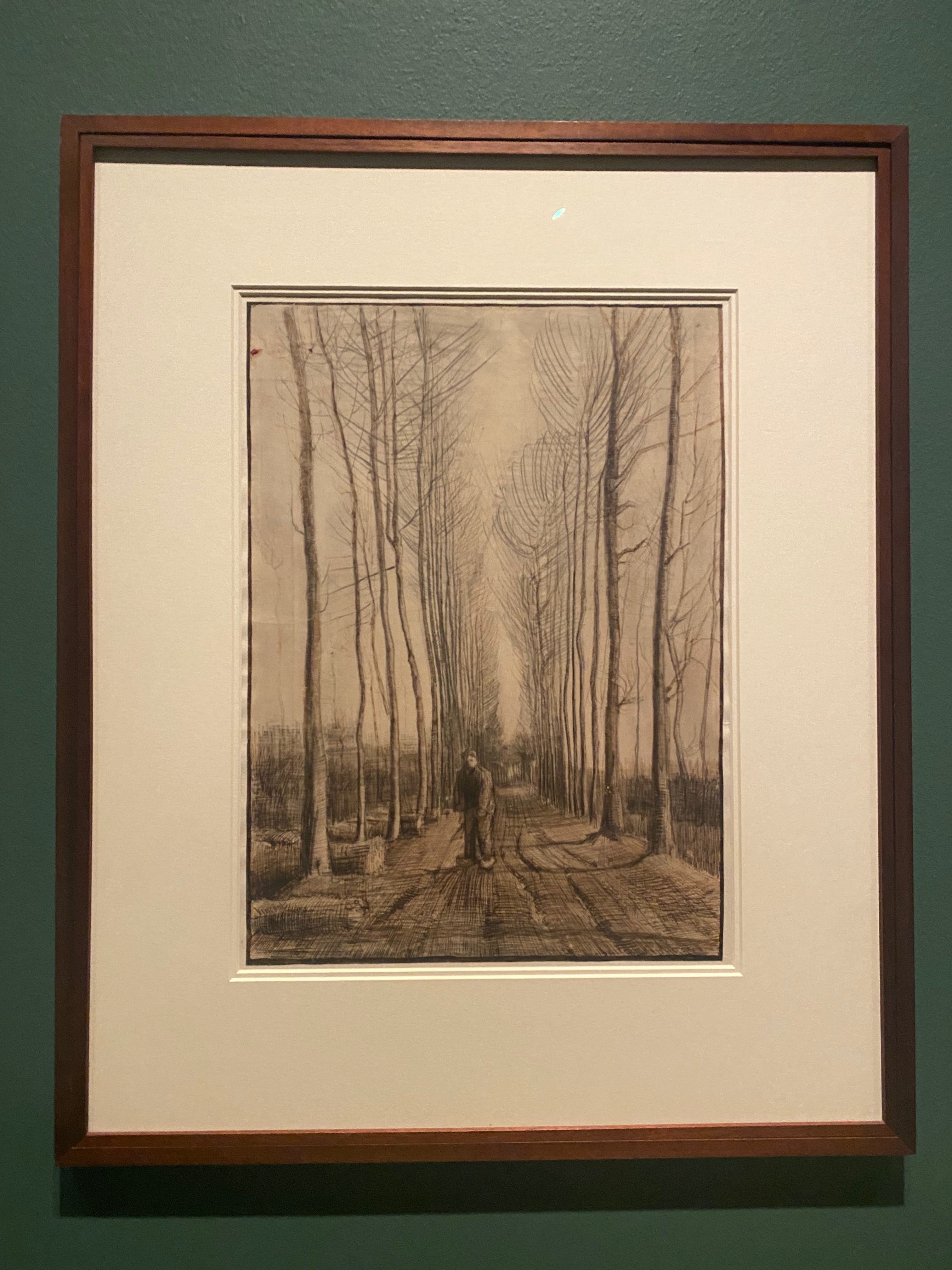 Making my way through MUBI - by Freya Graham - Earthworm