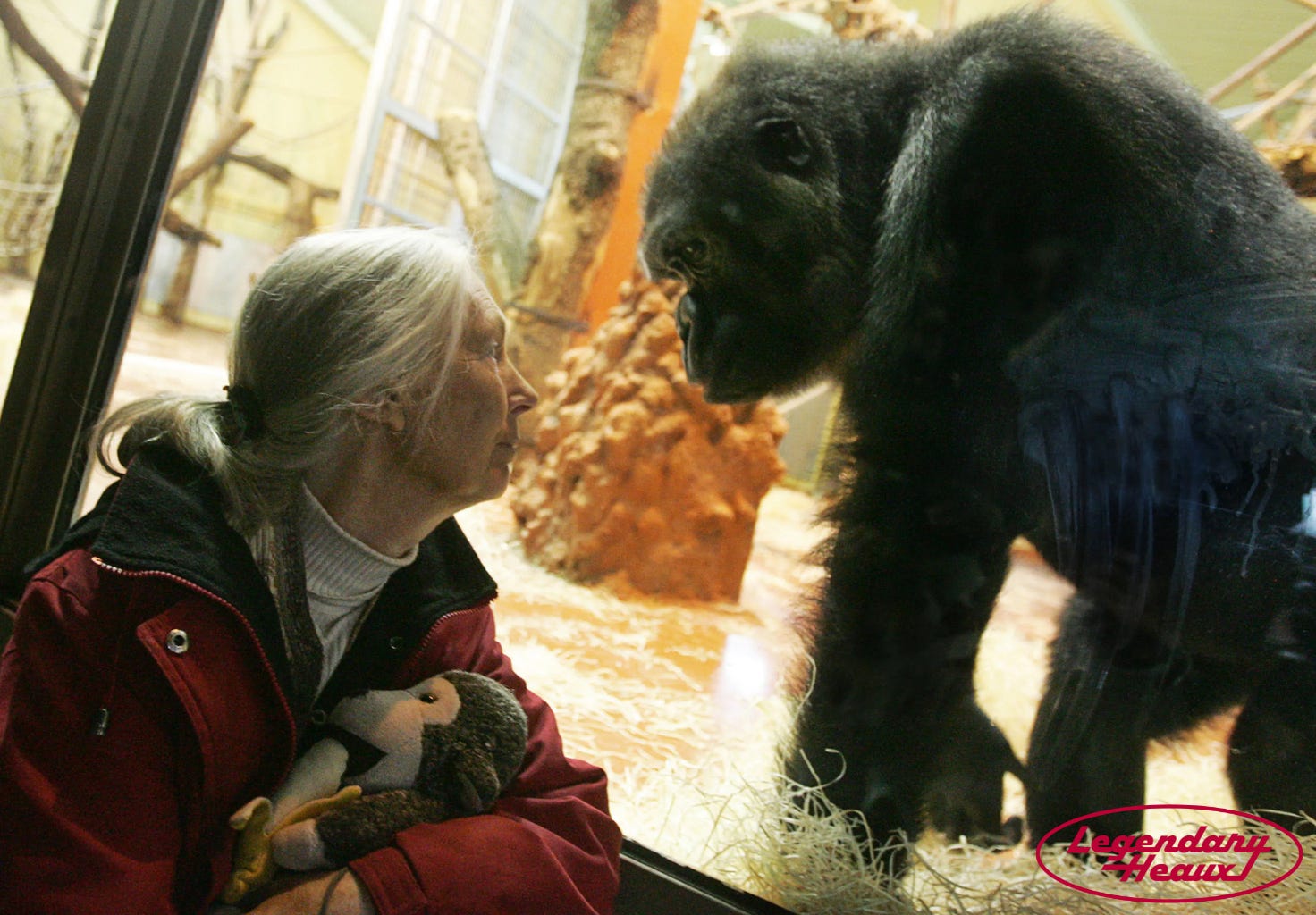 Legendary Heaux-bituary: Dr. Jane Goodall