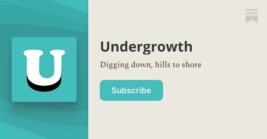 Undergrowth | Ian Winter | Substack